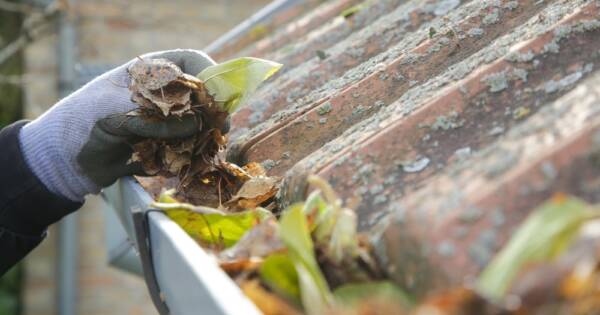 Home Ownership – WalletGenius